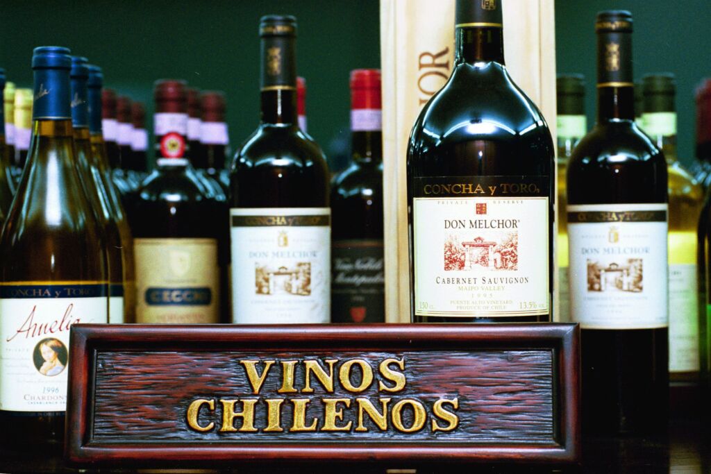 El vino chileno en busca de la calidad premium – CONVDEVINO.COM